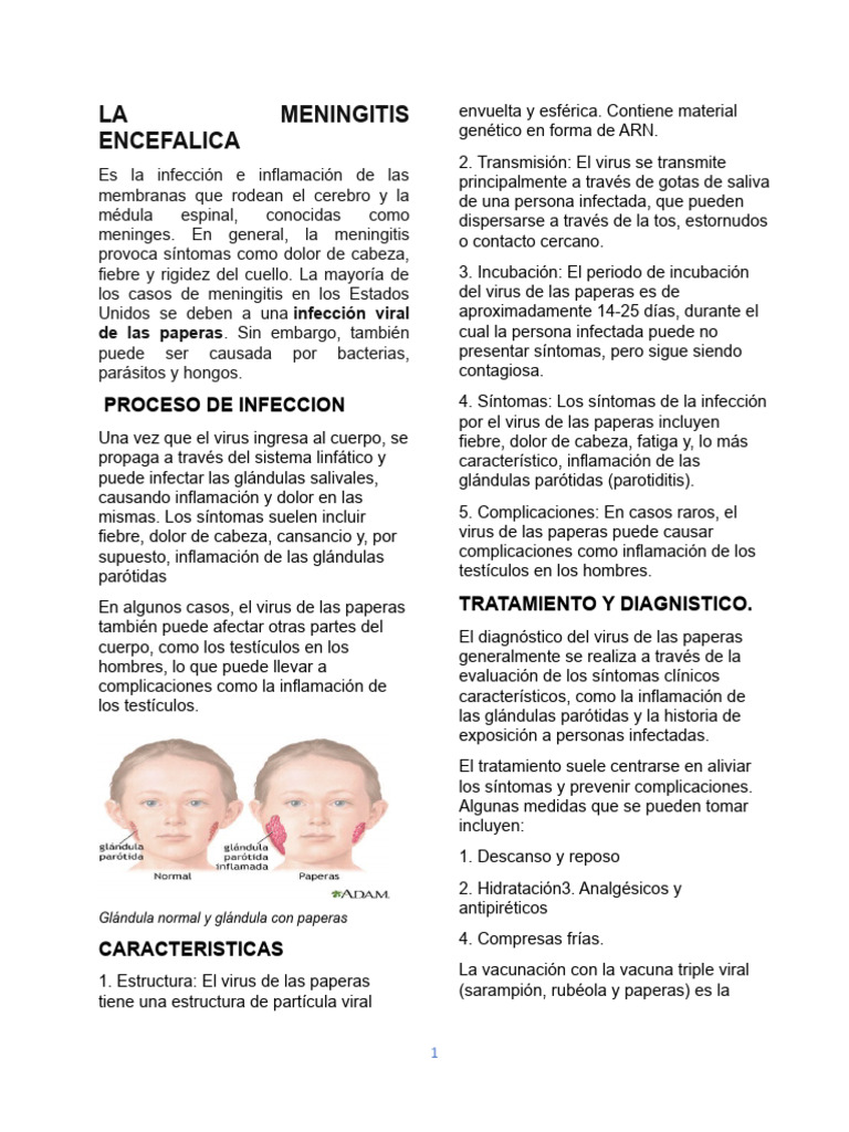La Meningitis Encefalica | PDF | Virus | Meningitis