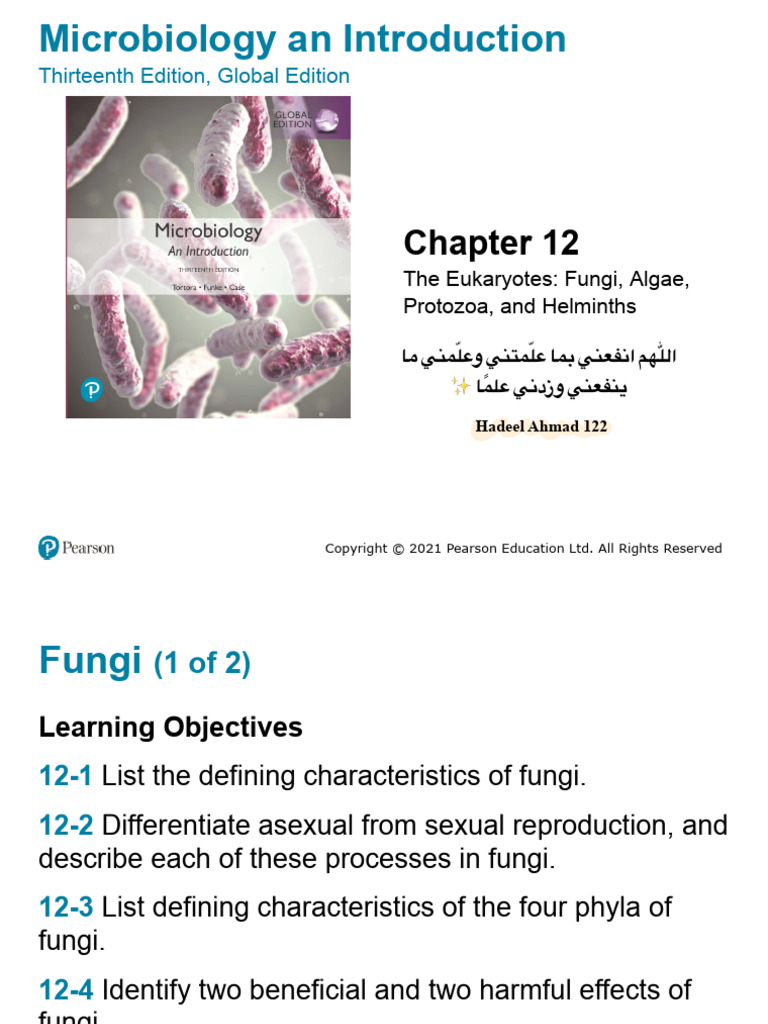 CH 12 The Eukaryotes Fungi, Protozoa, Helminths Summer Sem 2022 | PDF