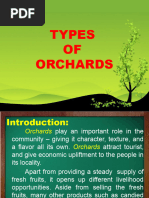 Agri Lesson 5 - Types of Orchard Farm | PDF | Trees | Fruit