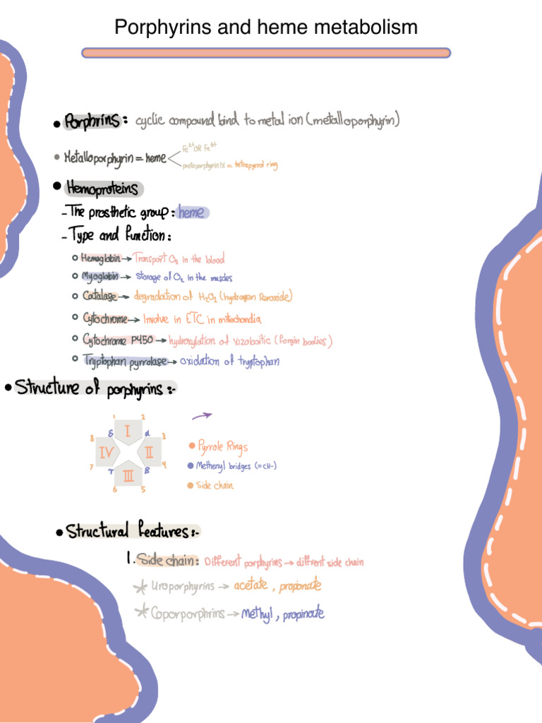 Biochemistry Summary of Porphyrin and Heme Metabolism | PDF ...