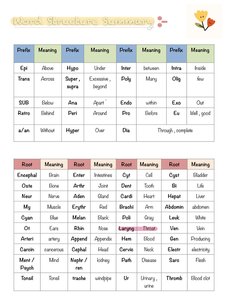 Suffix and Prefix in Medical Terminology | PDF | Medical Specialties ...
