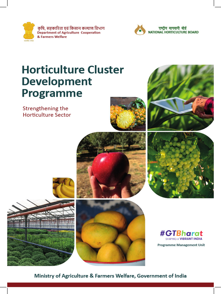 Horticulture Cluster Development Programme | PDF | Agriculture | Logistics