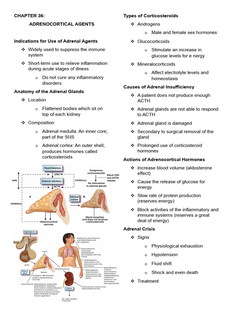 Chapter 36 - Adrenocortical Agents | PDF | Adrenal Gland | Glucocorticoid
