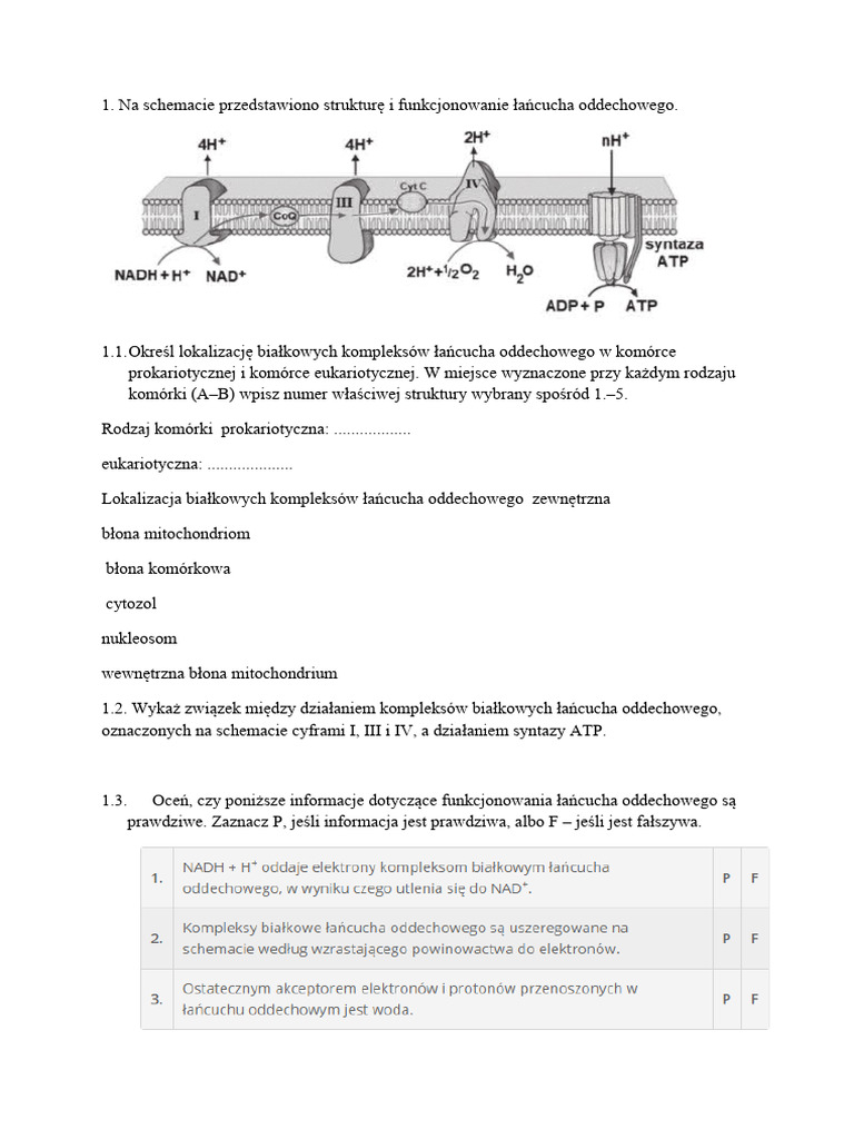 Oddychanie-komórkowe (1) | PDF
