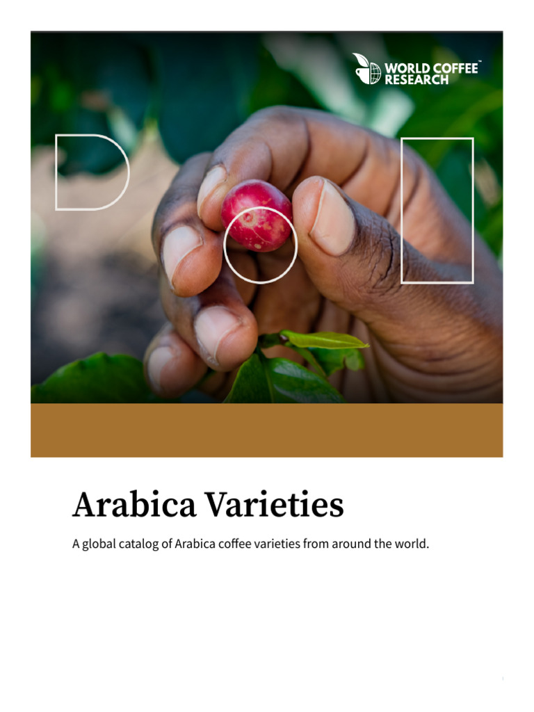 World Coffee Research Arabica Varieties | PDF | Coffee | Plant Breeding
