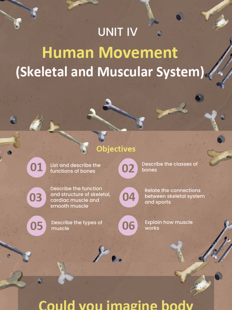 UNIT 4 Human Movement | PDF | Muscle | Skeleton