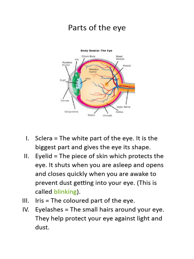Eye Vocab. | PDF | Career & Growth | Self-Improvement