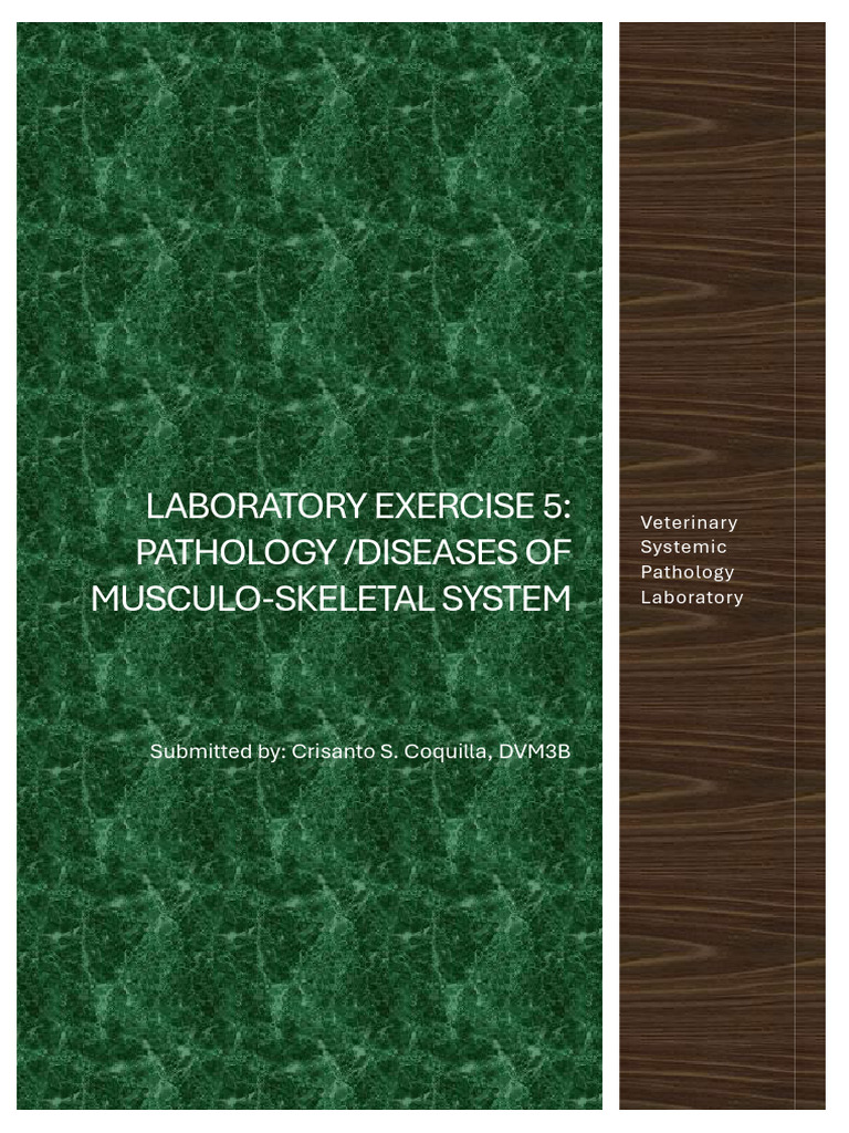 PATHOLOGY | Download Free PDF | Bone | Joint