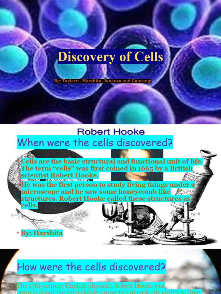 Discovery of Cells 2.0 | PDF | Microscope | Biology