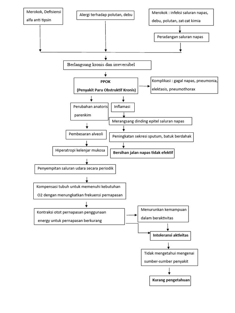 Pathway PPOK. | PDF