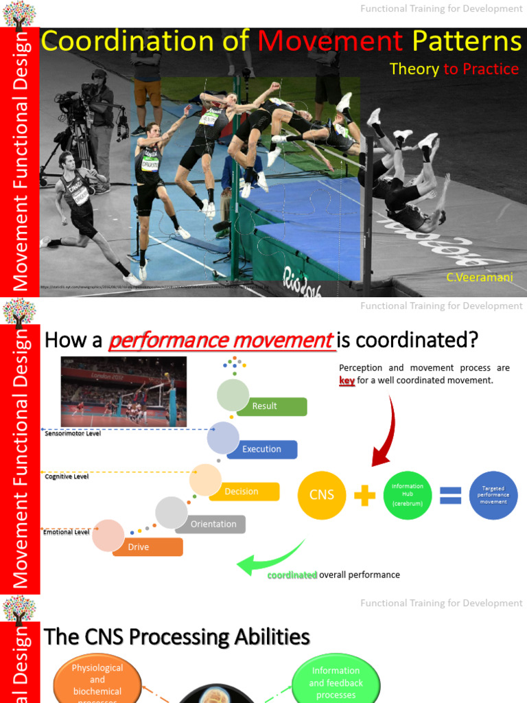 Functional Training for Movement Coordination | PDF | Balance (Ability ...