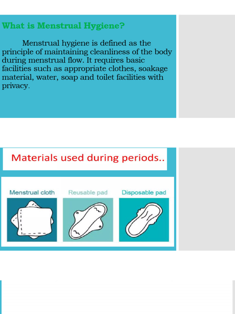 Understanding Menstrual Hygiene Basics Pdf