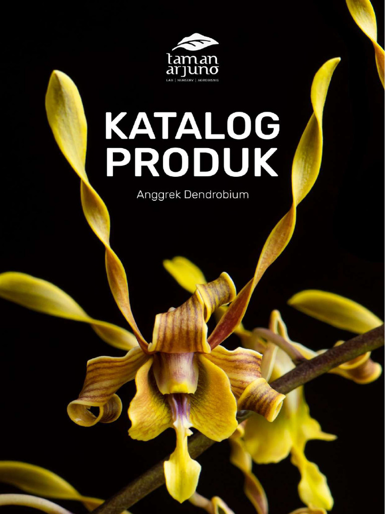 Anggrek Dendrobium-Up 10.05.23-Digital | PDF | Plant Morphology | Plants