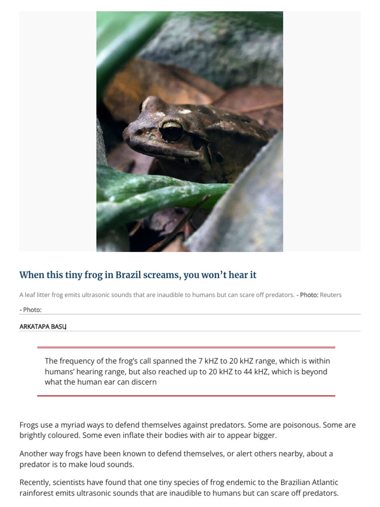 The Hindu E-Paper Document | PDF | Frog | Ultrasound