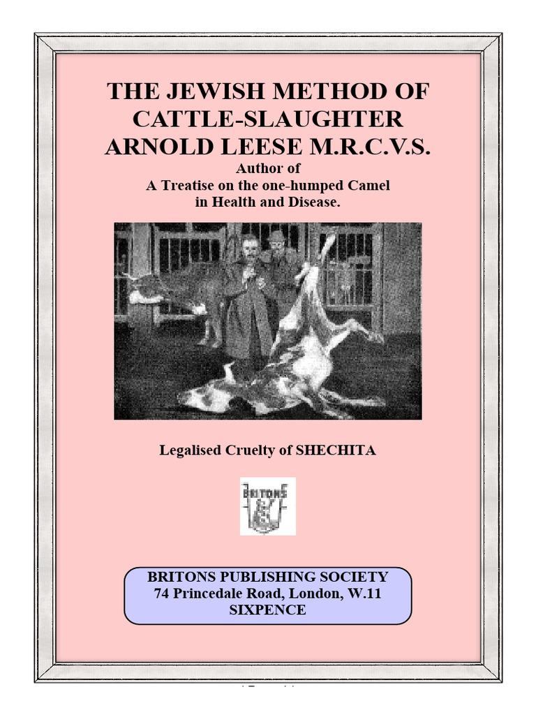 Jewish Ritual Slaughter | PDF | Animal Slaughter