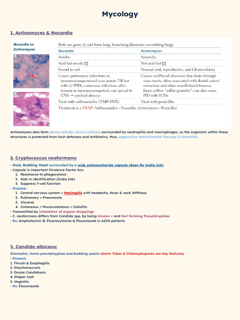 Mycology PDF 1 | PDF | Candidiasis | Microbiology