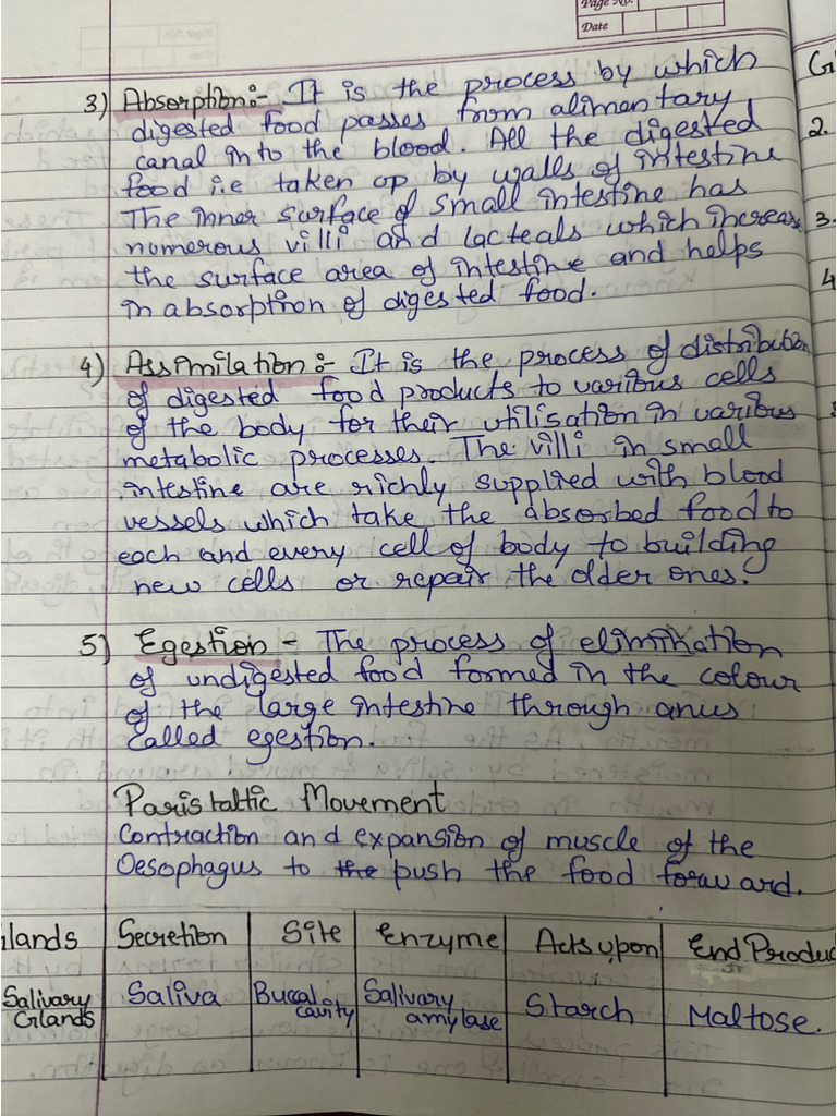 Life Process (2) Bio Notes | PDF