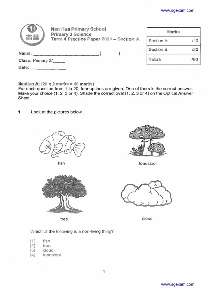 2021-P3-Science-Practice Paper 4-Nan Hua | PDF