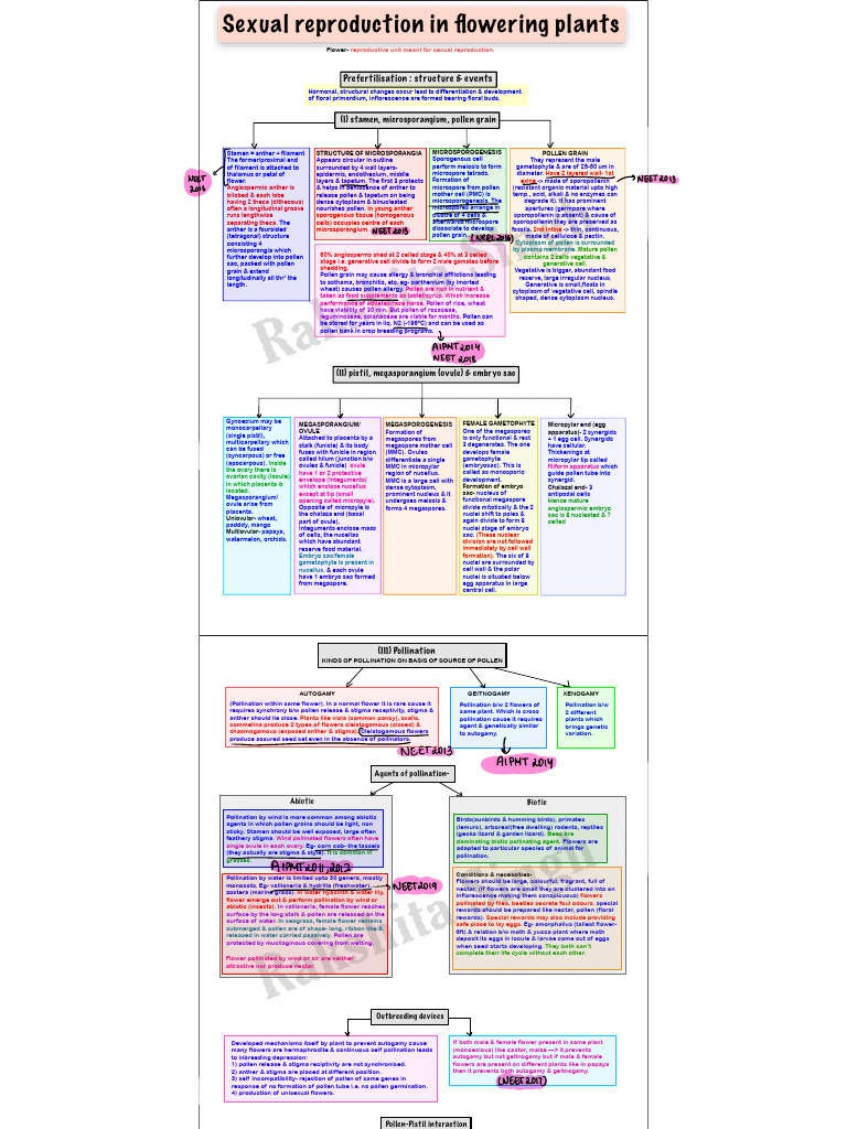 Class 12 Mindmaps by Rakshita Singh | PDF | Menstrual Cycle | Testicle