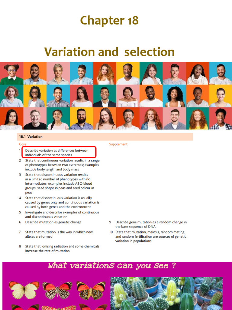 Genes and Continuous Variation in Humans | PDF | Genetics | Allele
