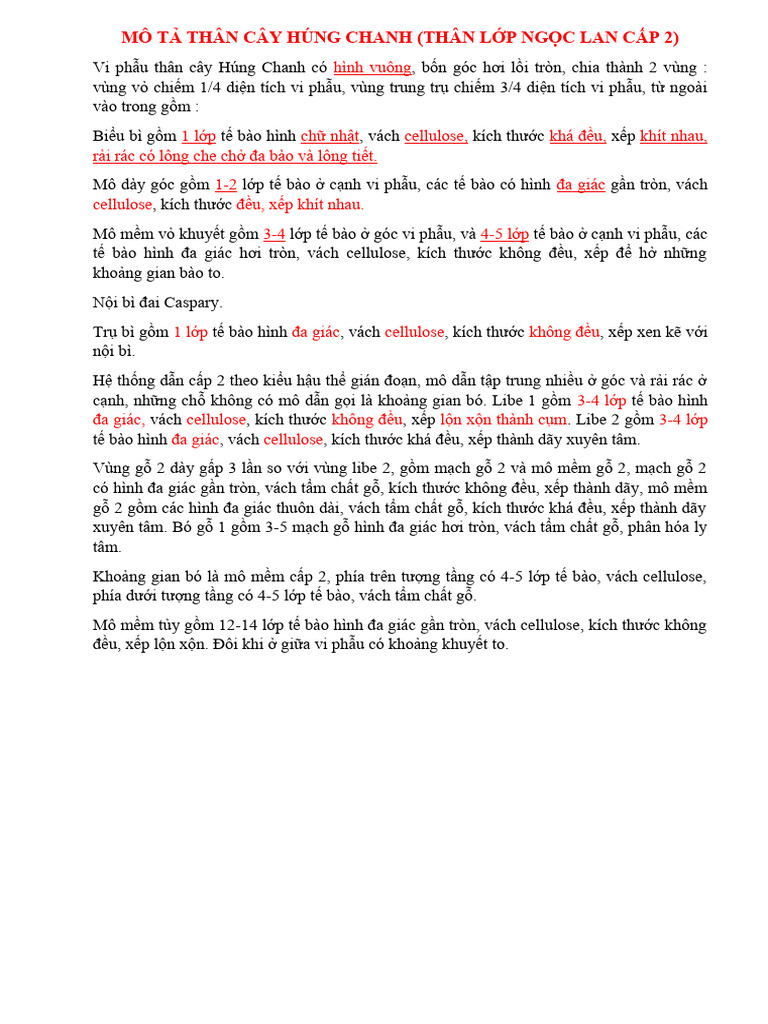 3 Bài Mô T TH TVD | PDF