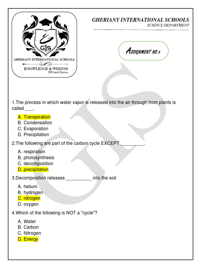Assignement 3-Model Answer | PDF