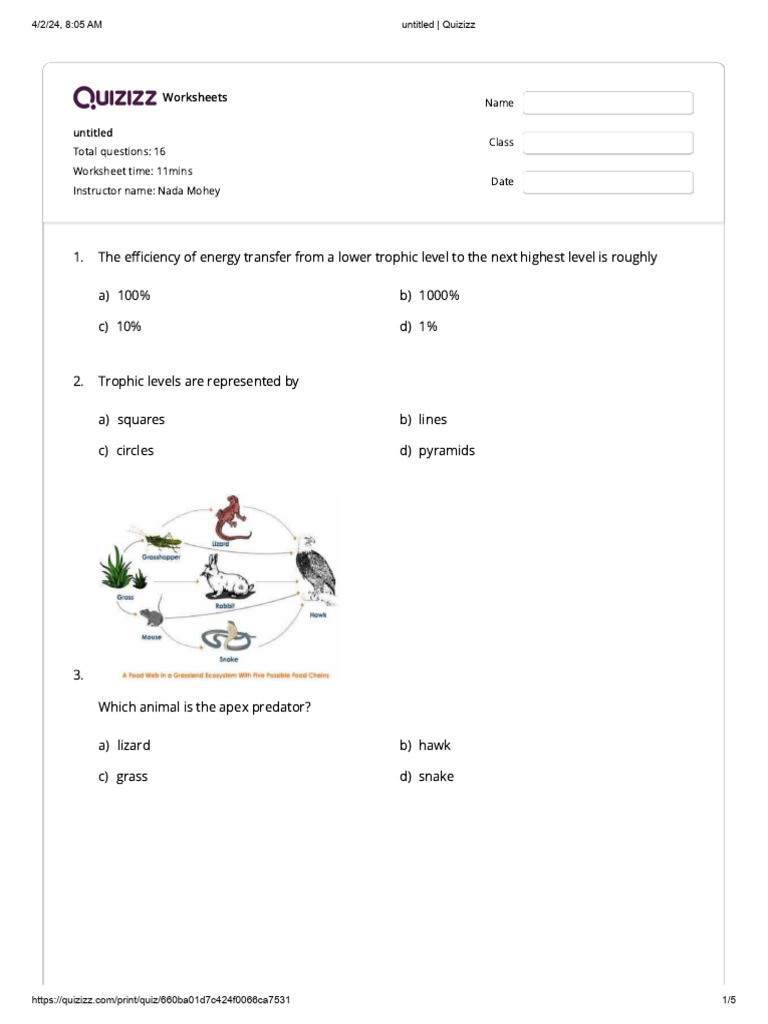 Assignment 2-Energy Flow | PDF | Food Web | Foods
