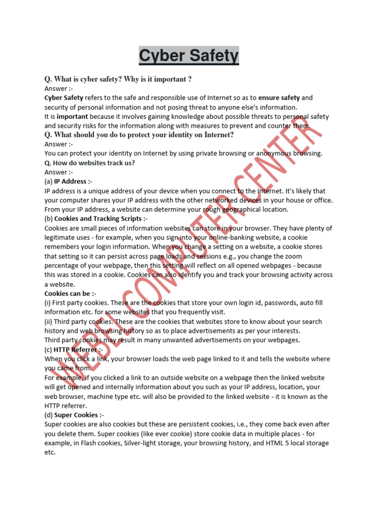 Cyber Safety | PDF | Http Cookie | World Wide Web