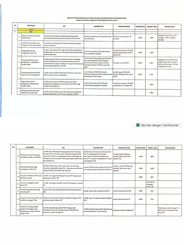 Indikator Program P2P 2024 | PDF