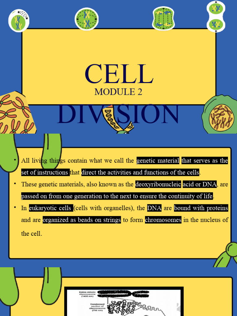 m2 - Cell Division | PDF | Meiosis | Mitosis