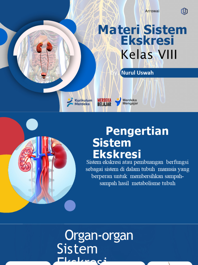 Bahan Ajar Materi Ekskresi | PDF