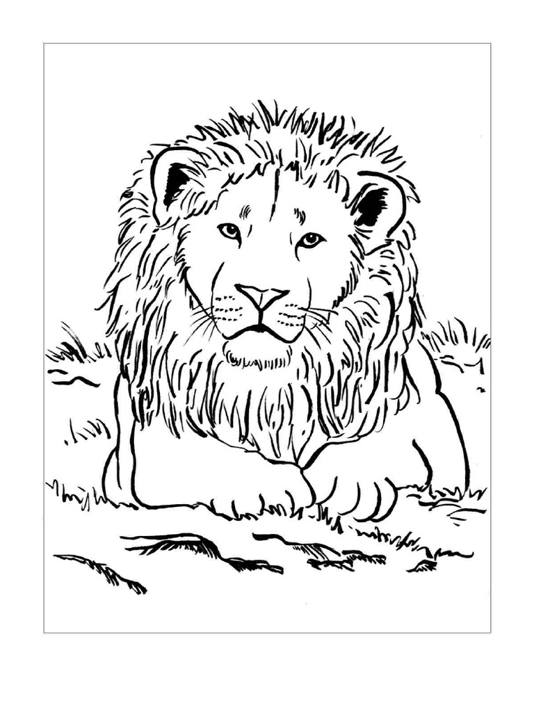 Coloring Pages For Children Lion 31844 | PDF