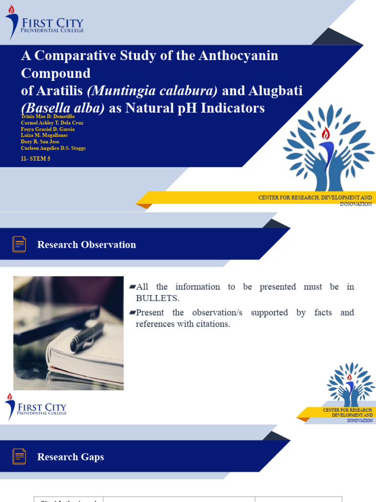 Preliminary Research Proposal | PDF