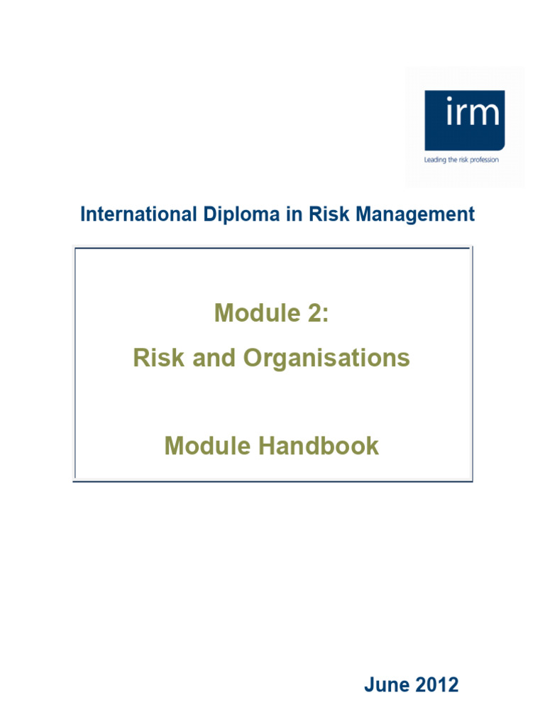 Risk Management in Organizations | PDF | Risk | Risk Management