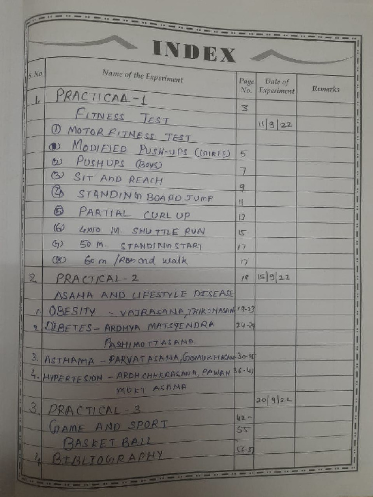 PE Sample File | PDF