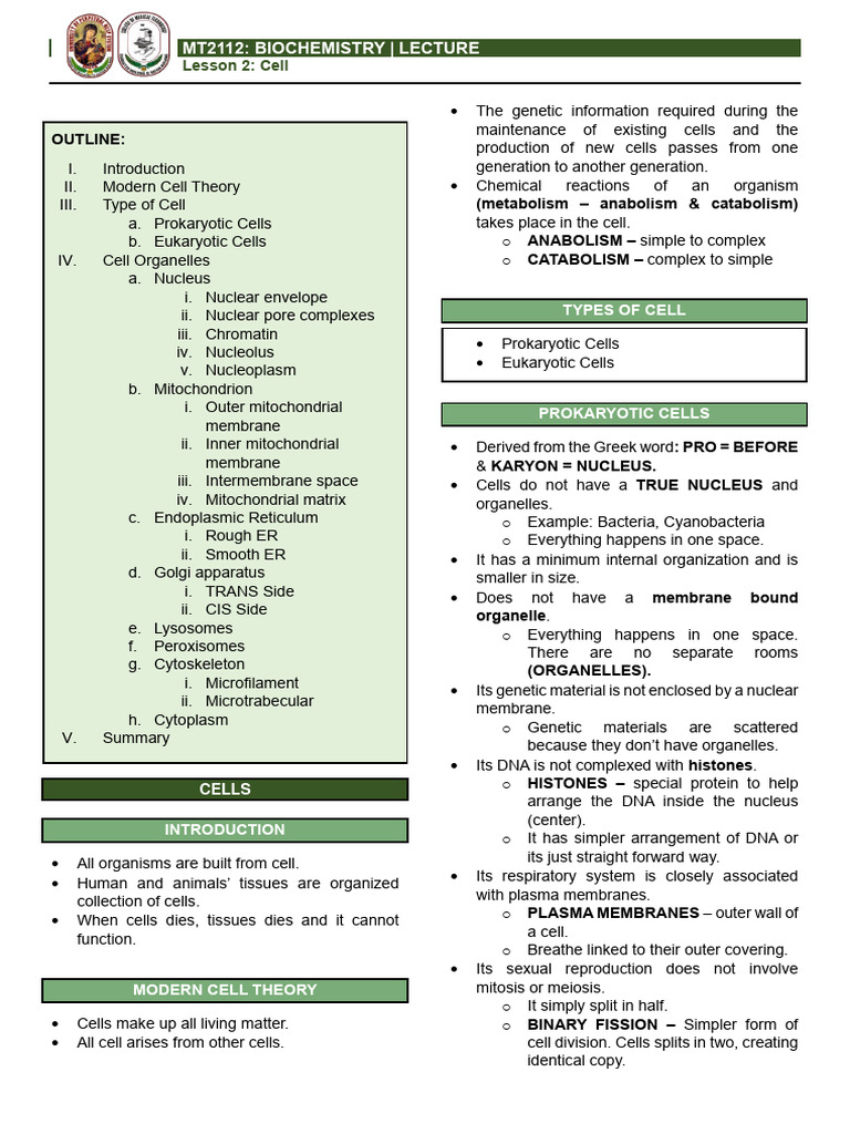 Biochem Lec-Lesson 2-Transes | Download Free PDF | Endoplasmic Reticulum | Cell (Biology)