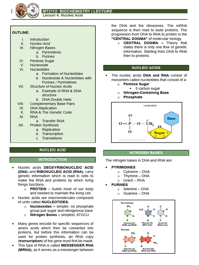 Biochem Lec-Lesson 4-Transes | PDF | Nucleotides | Nucleic Acids
