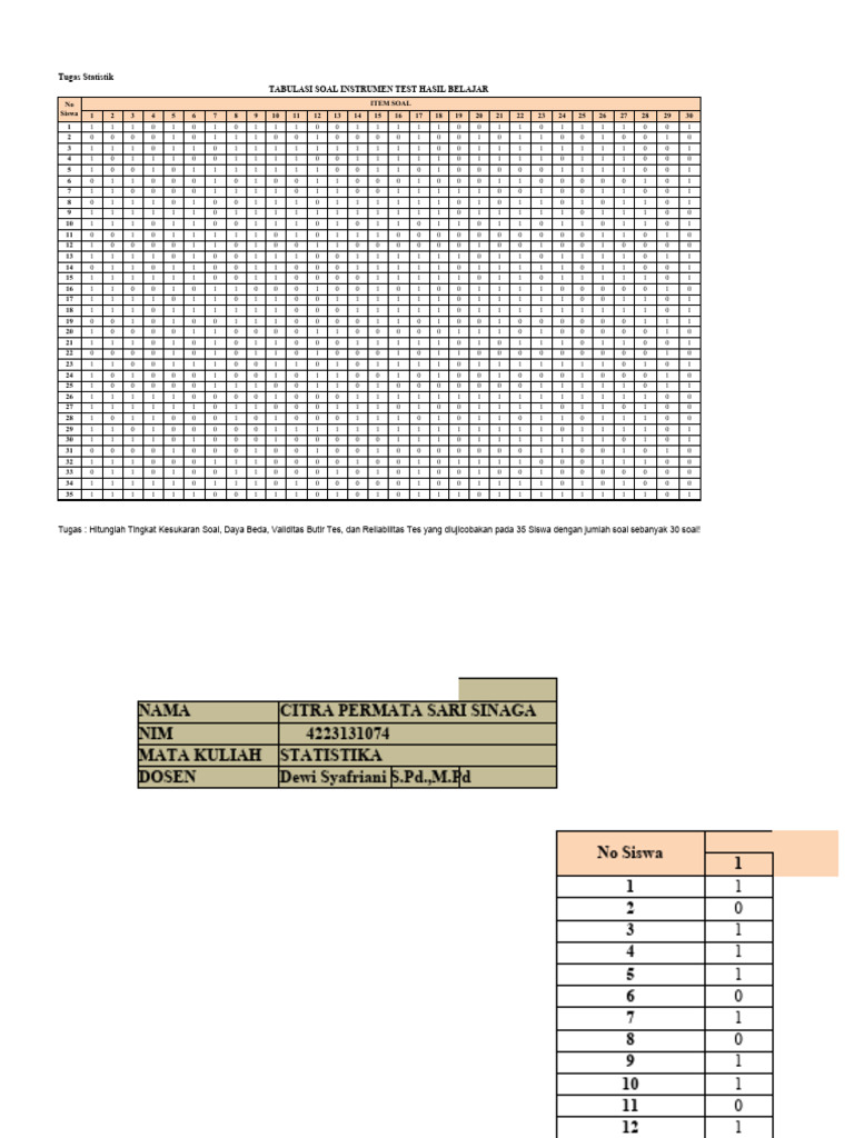 TR Analisis Instrumentasi Statistik - Citra Permata Sari Sinaga | PDF