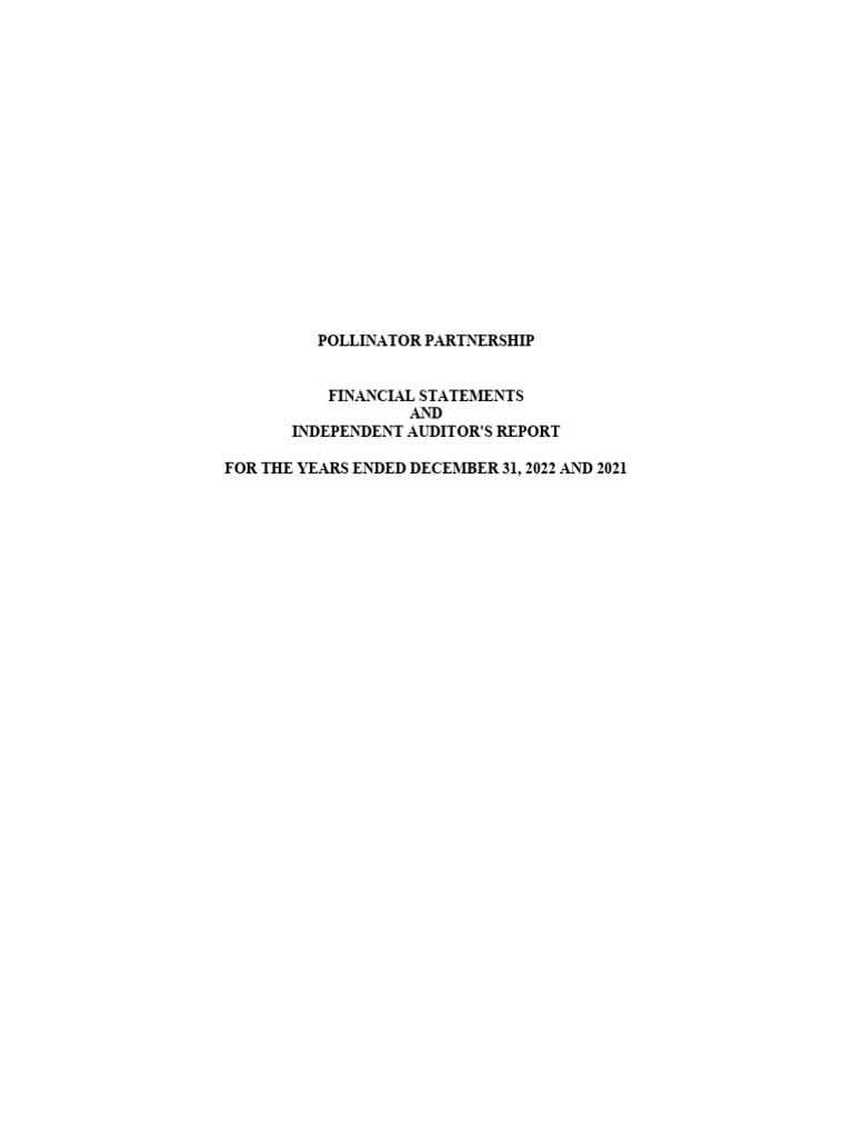 2022 P2 Audit Report | PDF | Audit | Financial Audit