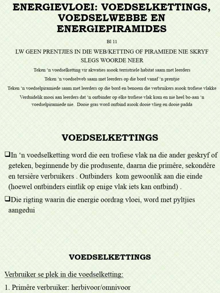 3 Voedselkettings en Voedselwebbe | PDF