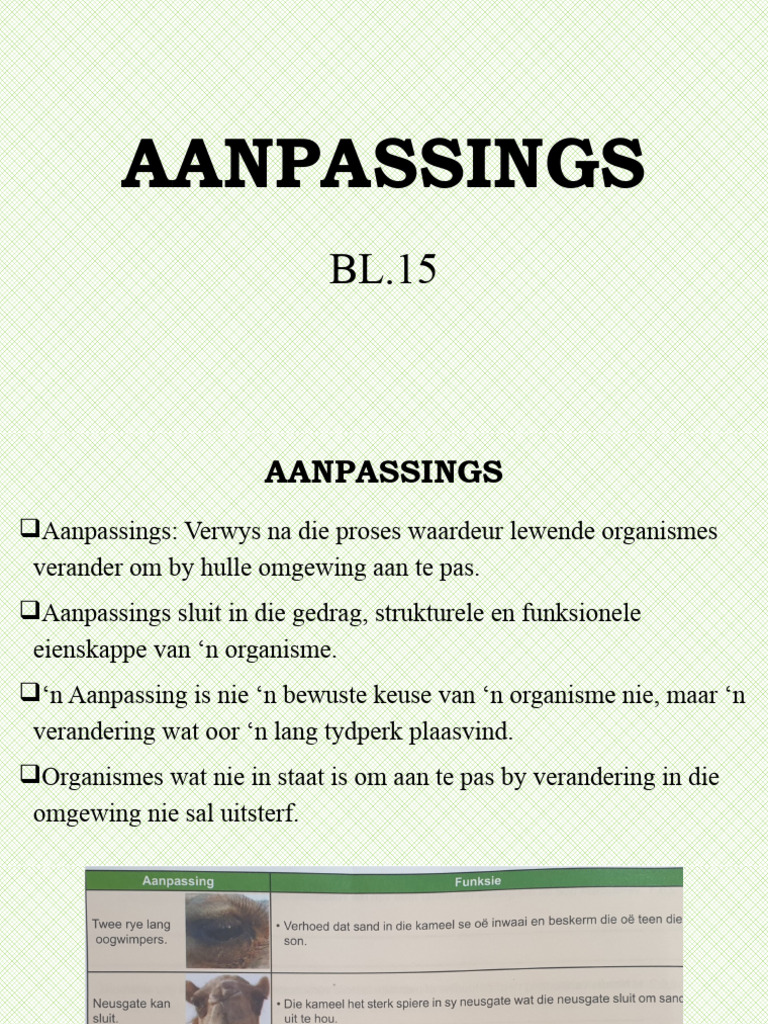 5 Aanpassings | PDF