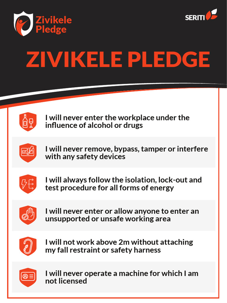 A4 Zivikele Pledge - Rule1-6 | PDF