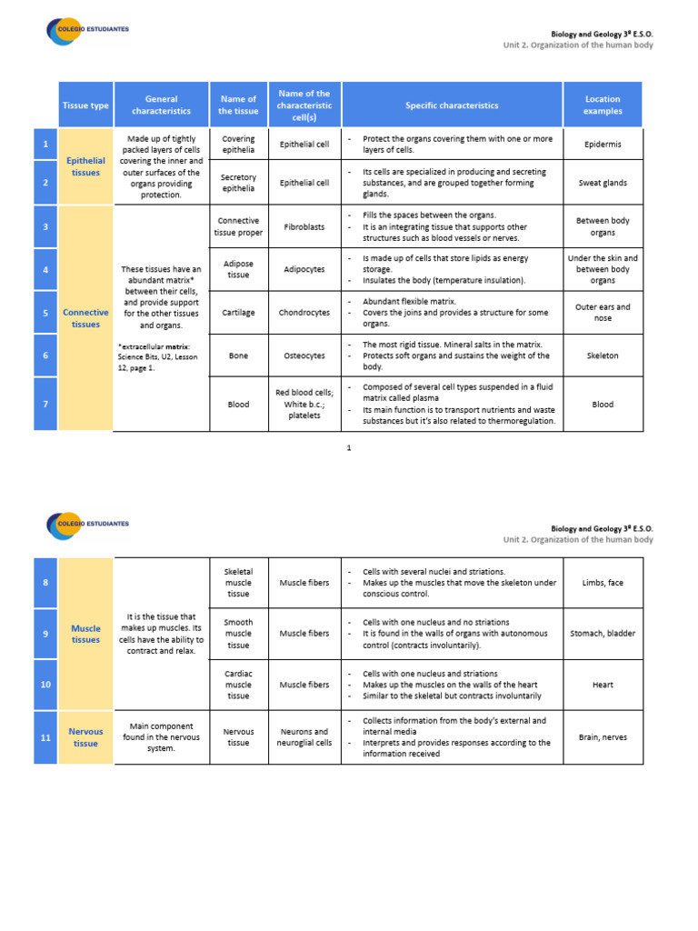 B&G 3E U2 Tissues Activity. COMPLETE | PDF | Muscle | Tissue (Biology)