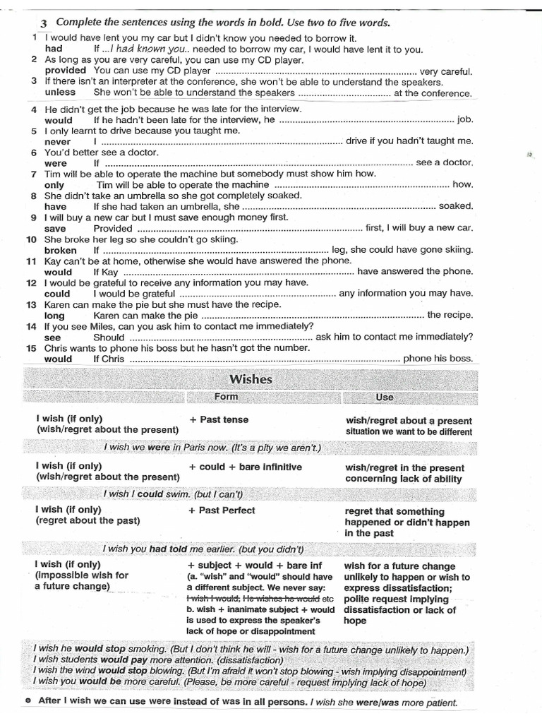 Conditionals Wishes | PDF