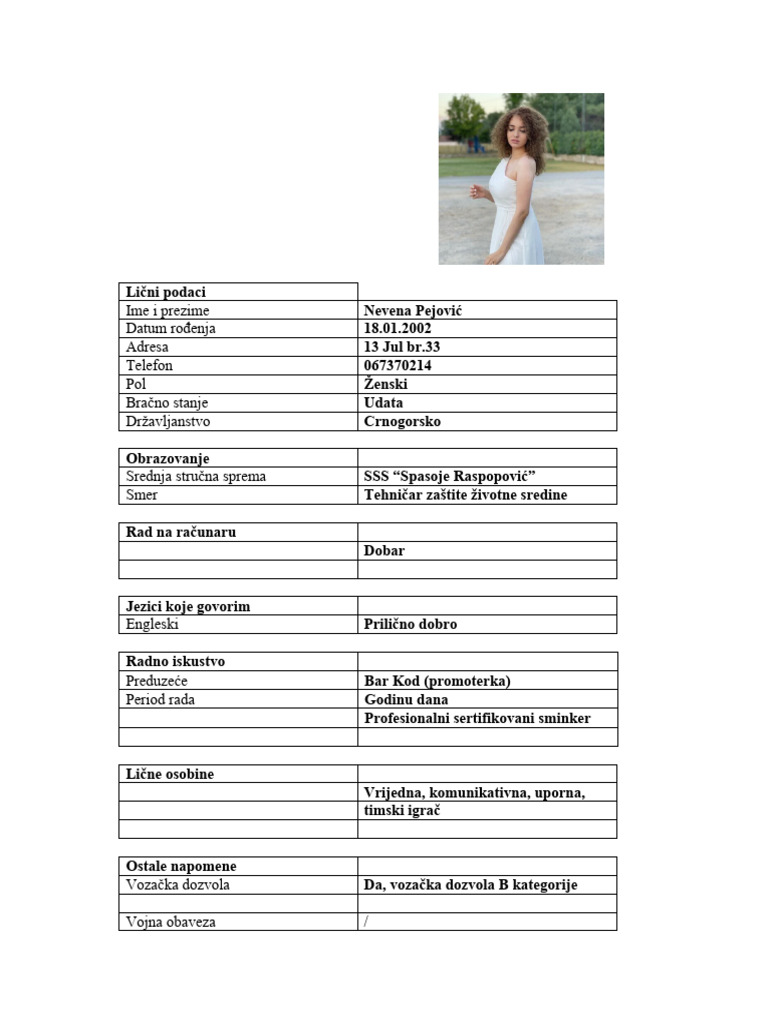 CV Blanko | PDF