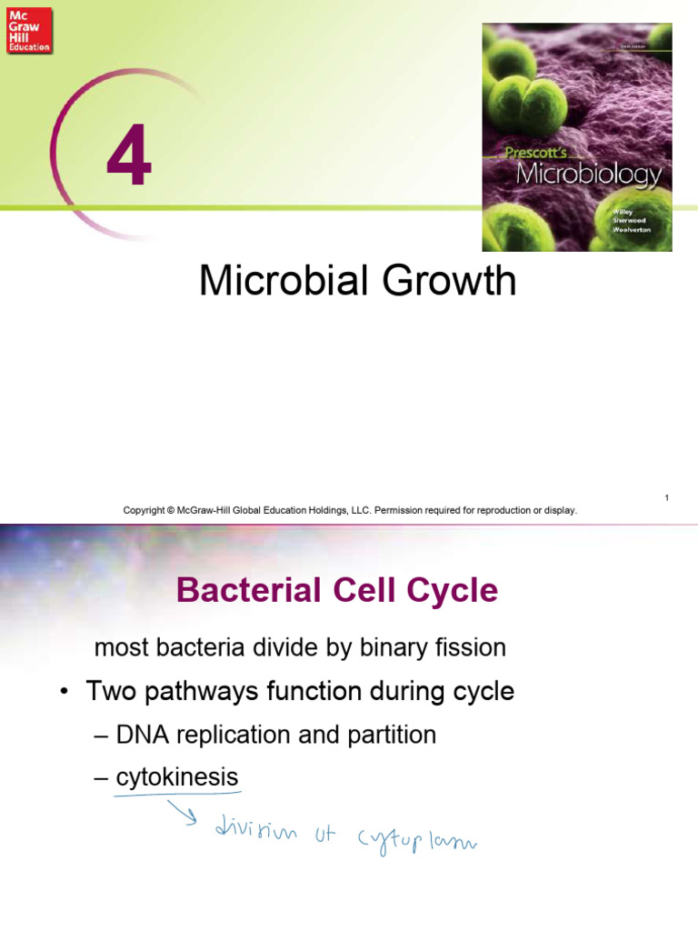 Lecture 4- Microbial Growth | PDF | Biofilm | Growth Medium