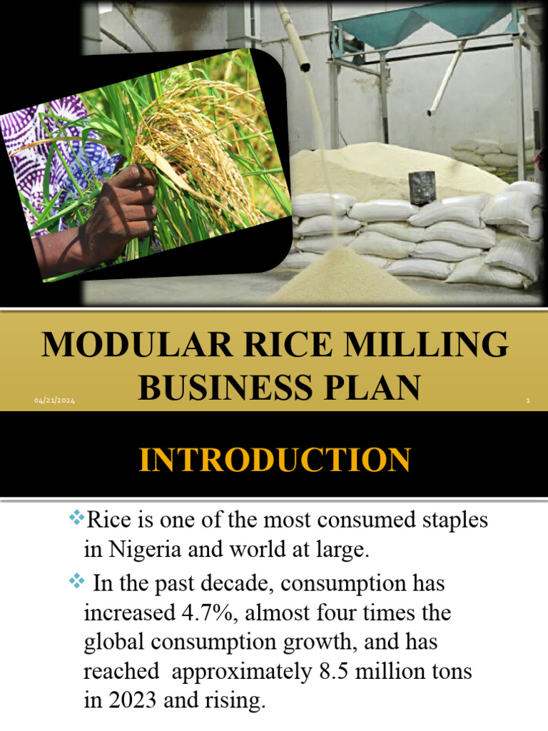 Rice Biz Plan | PDF | Profit (Economics) | Rice