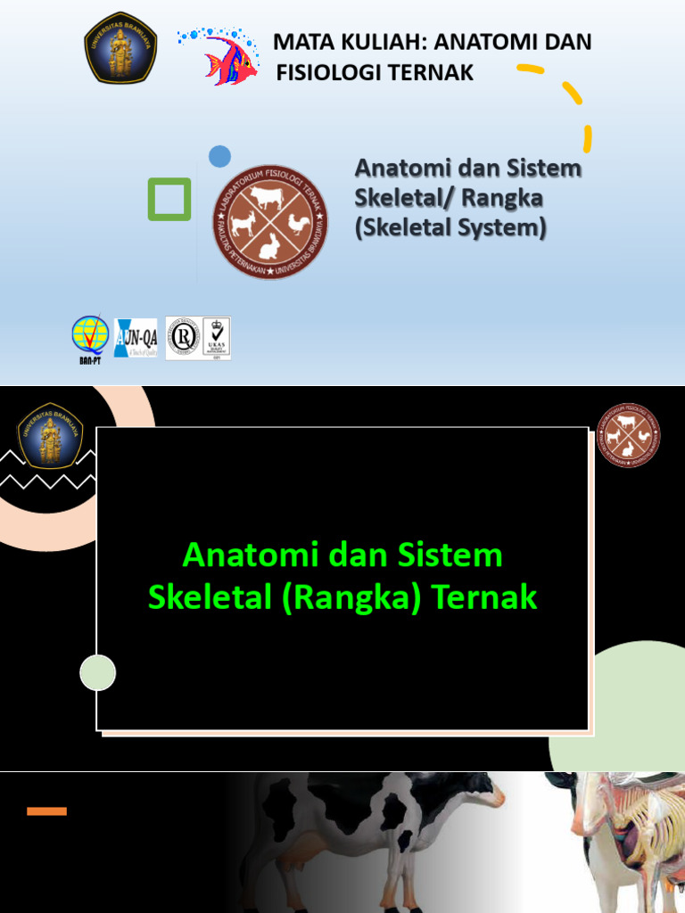 4-Anatomi dan Sistem Skeletal (Rangka) Ternak (1) | PDF