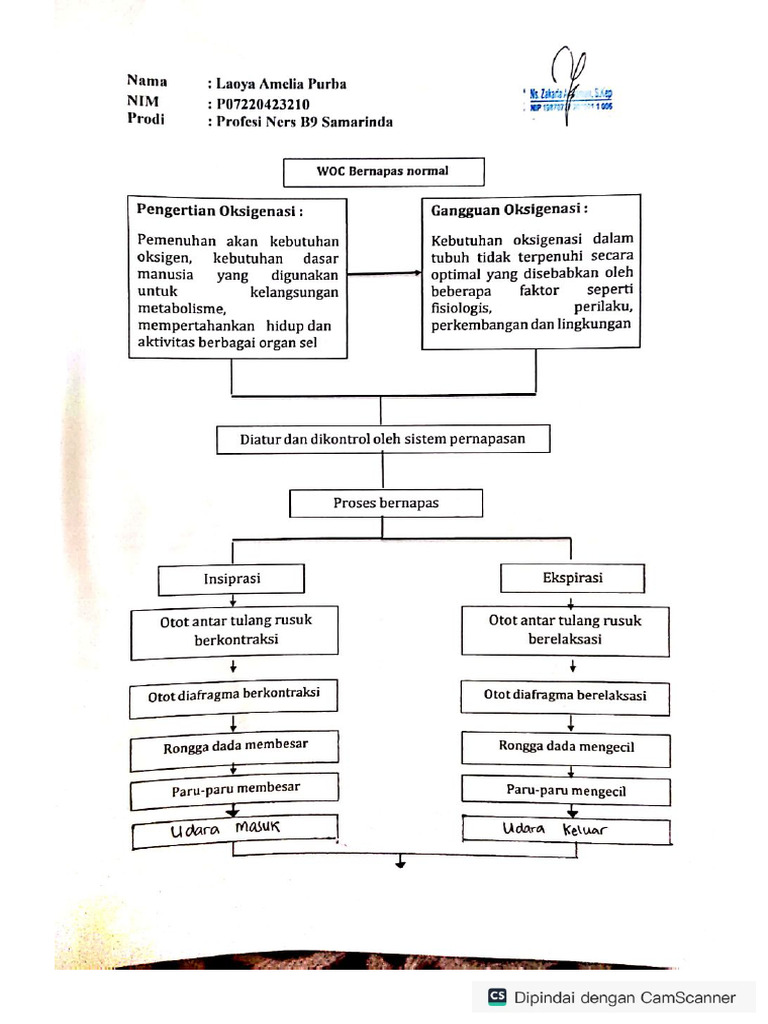 Woc Bernafas Normal | PDF