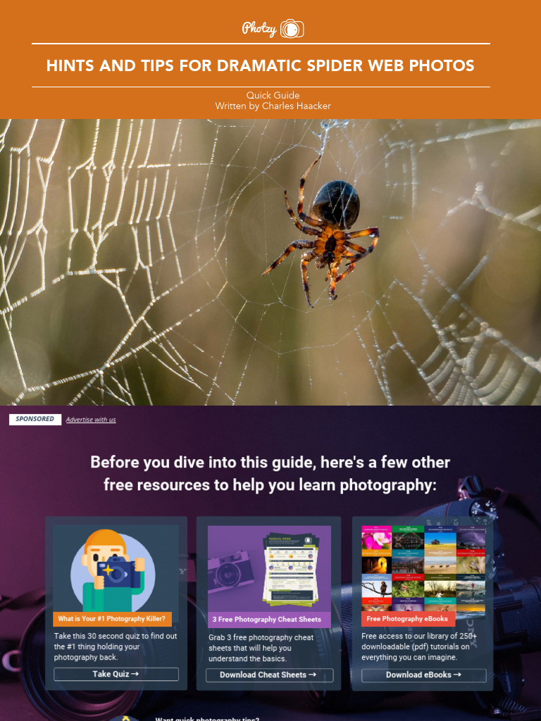 Spiders | Download Free PDF | Macro Photography | Camera Lens